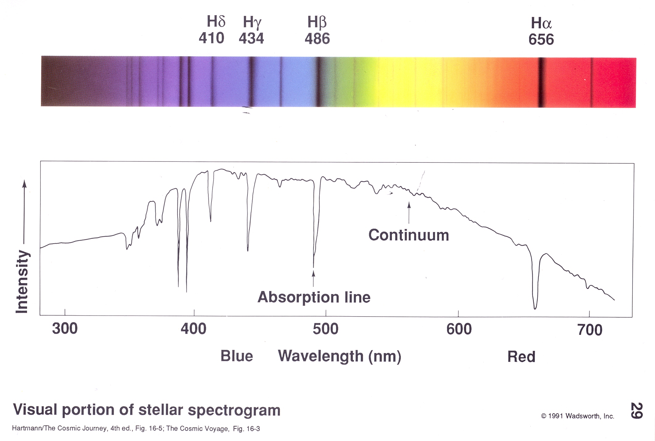 The Atomic Spectrum | Cosmos at Your Doorstep