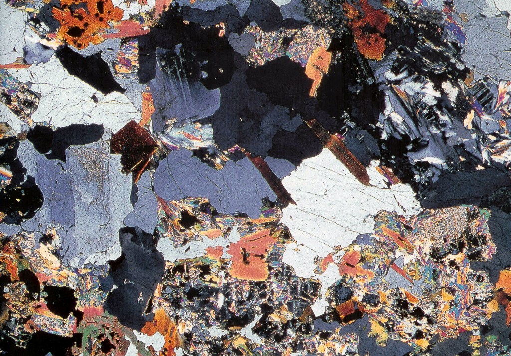 Life vs. Rocks: What Makes Them Different? – Cosmos at Your Doorstep