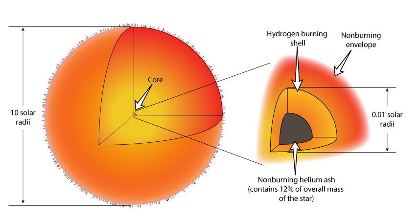 What Happens in an Expanding Star’s Core? – Cosmos at Your Doorstep